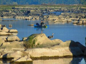 LIFE IN THE LOWER SUSQUEHANNA RIVER WATERSHED – A Natural History of ...
